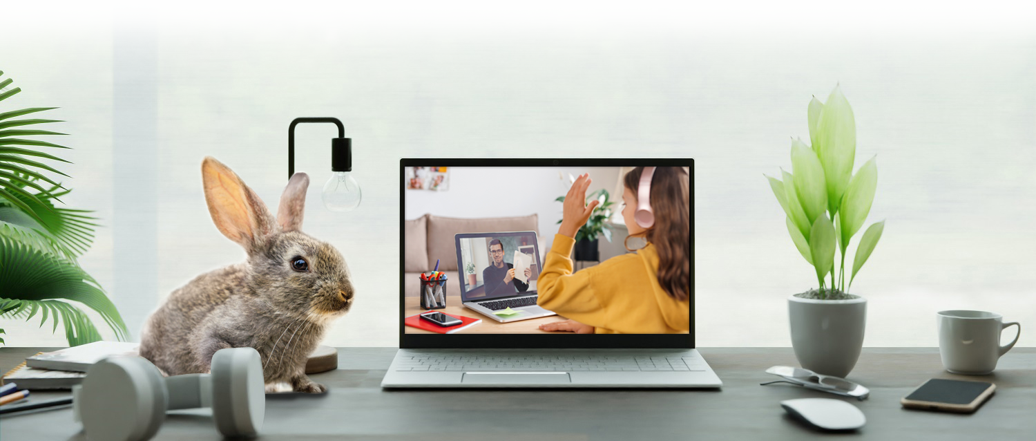 Rabbit Plan สร้างแผนธุรกิจได้ภายใน 24 ชั่วโมง